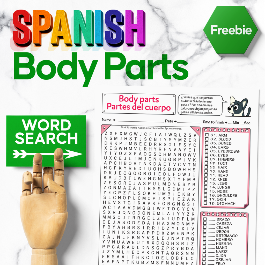 Spanish Word Search Body Parts - Can you find all the body parts ...