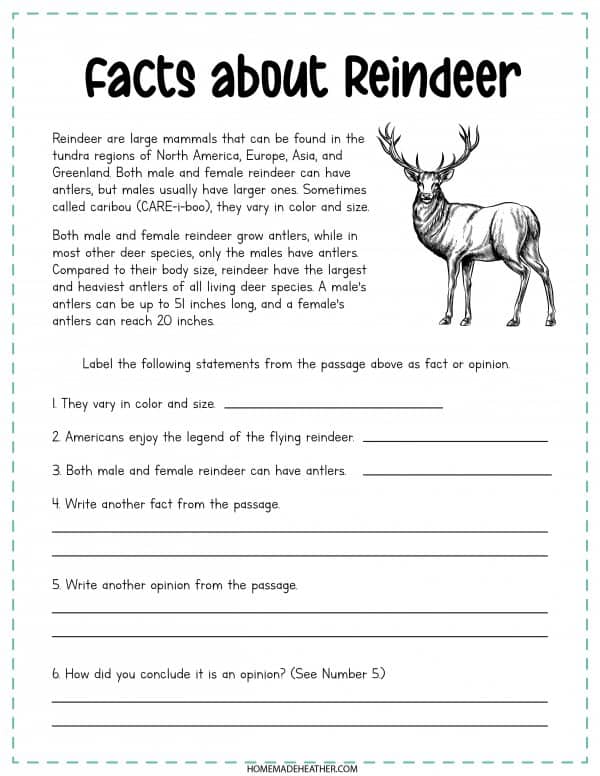 Reindeer Worksheets For Kids [Free Printables] - Worksheets Library