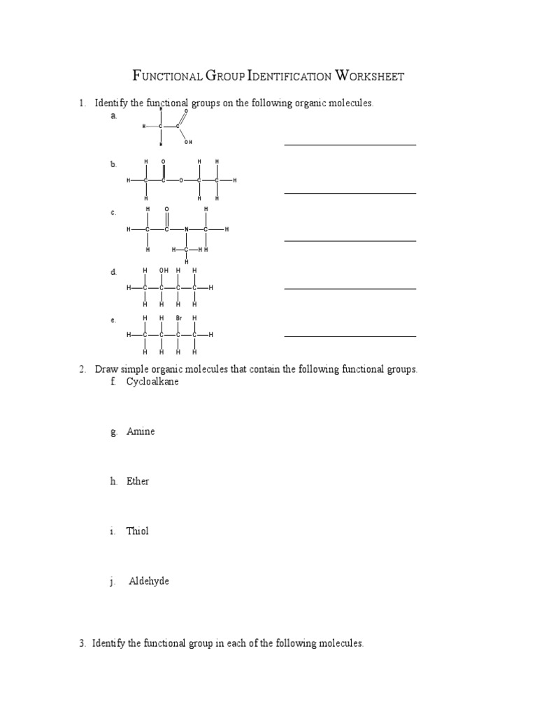 Answers To Functional Group Worksheet Worksheets Library
