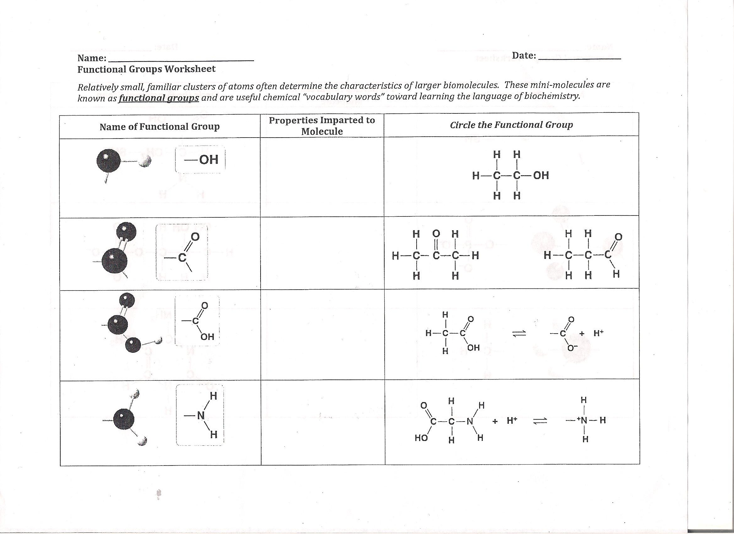 Functional Groups Powerpoint And Practice Worksheet By Soltiss