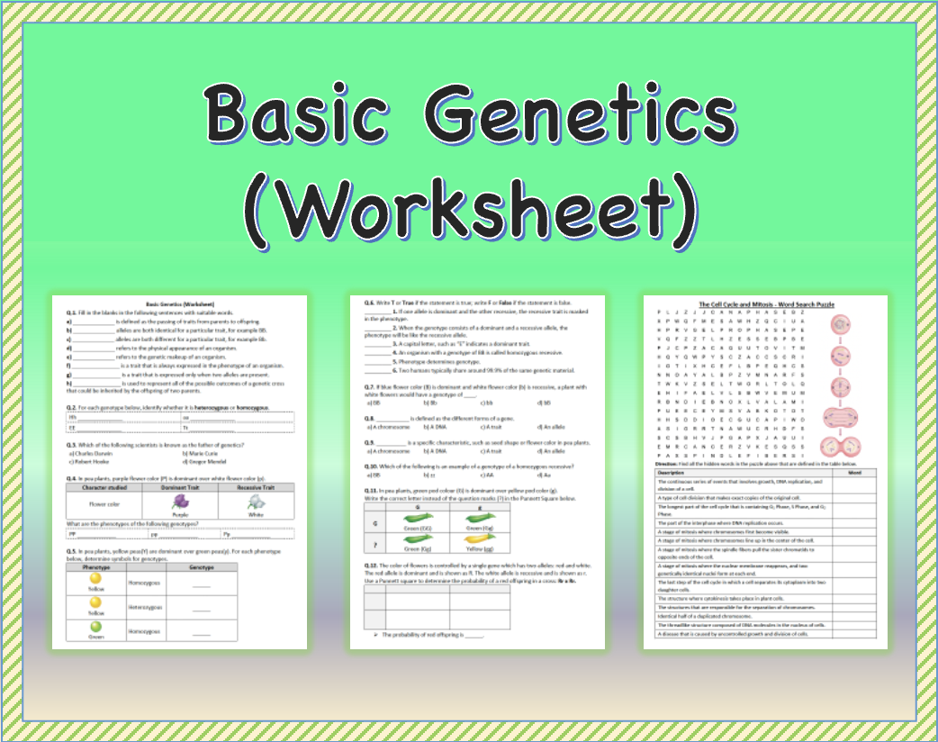 Basic Genetics - Worksheet | Printable and Distance Learning ...