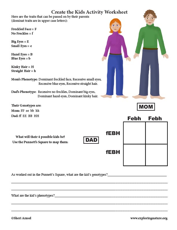 Genetics Activity - Create The Kids - Worksheets Library