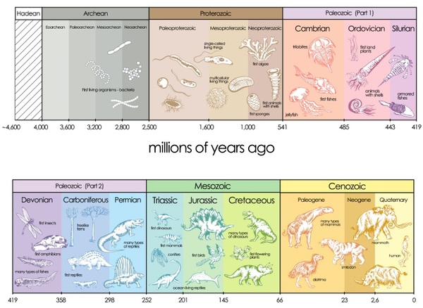 Geologic time. Eighth Grade Science Worksheets and Answer key ... - Worksheets Library