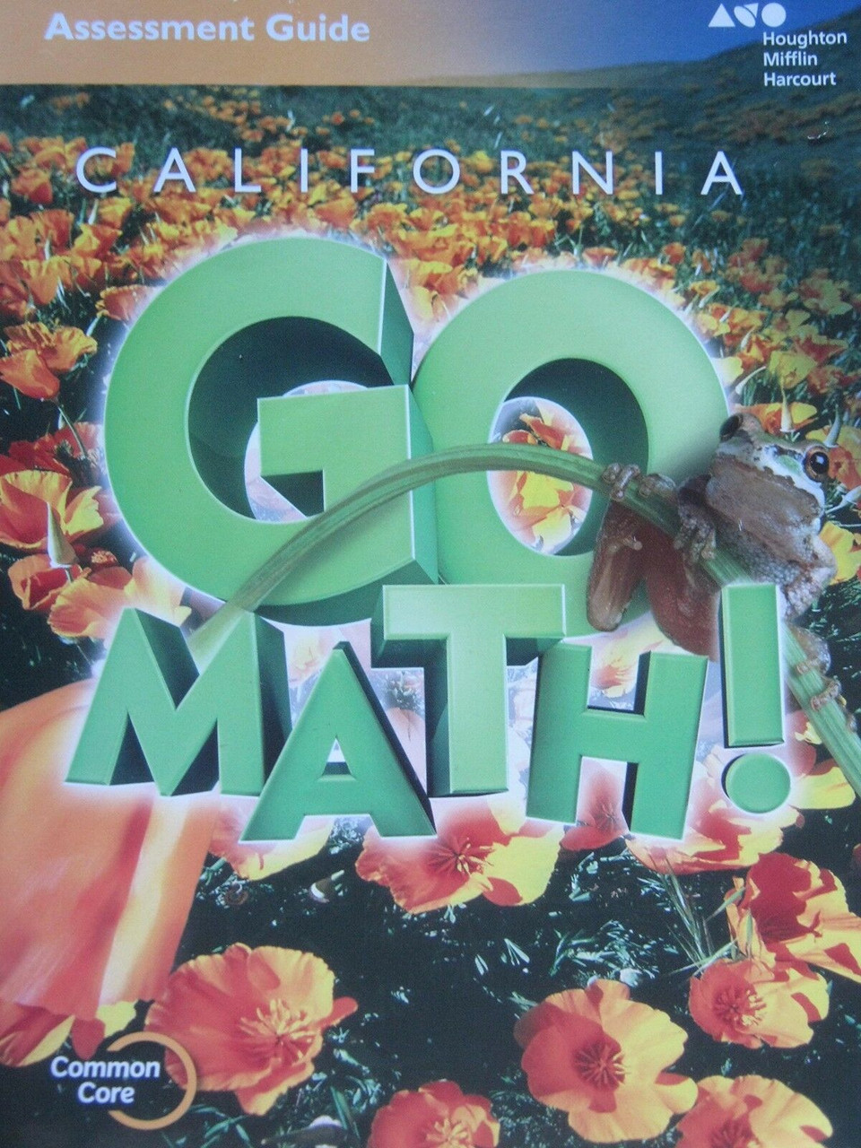 Go Math California Grade 5 Assessment Guide Blackline Masters - Worksheets Library