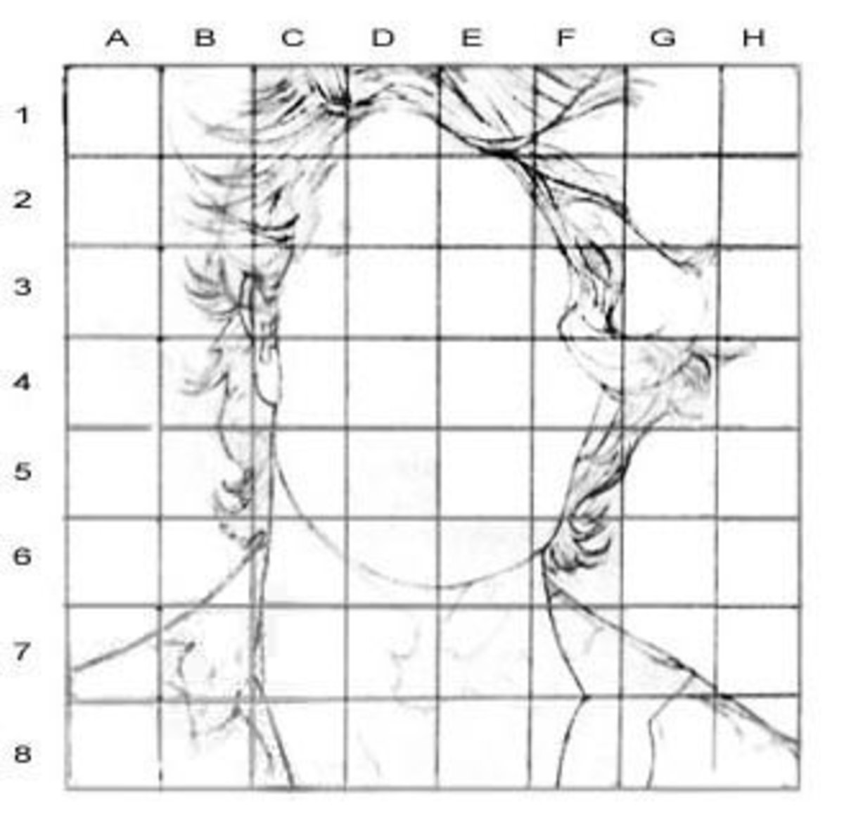 Free grid drawings for beginners, Download Free grid drawings for beginners png images, Free ...