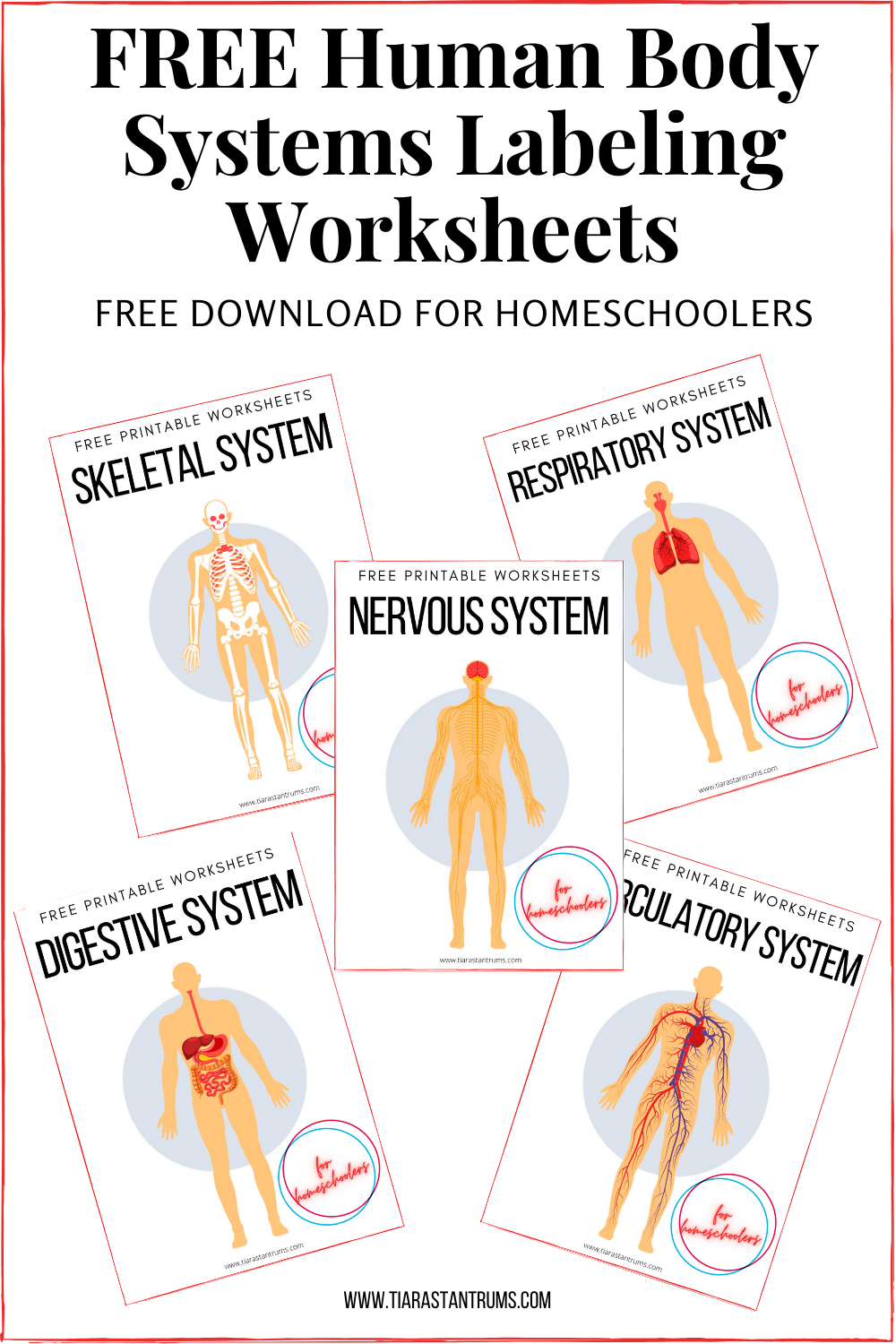 FREE Human Body Systems Labeling Worksheets — Tiaras & Tantrums ...