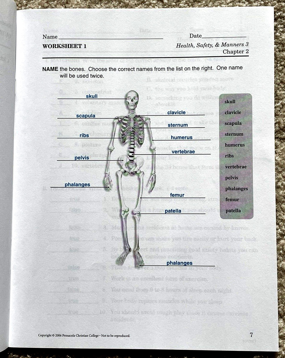 A Beka Book Health Safety Manners 3rd Grade Quiz Test Worksheet ...