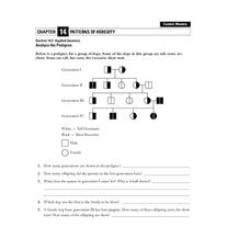 Patterns of Heredity Worksheet for 7th - 8th Grade | Lesson Planet ...