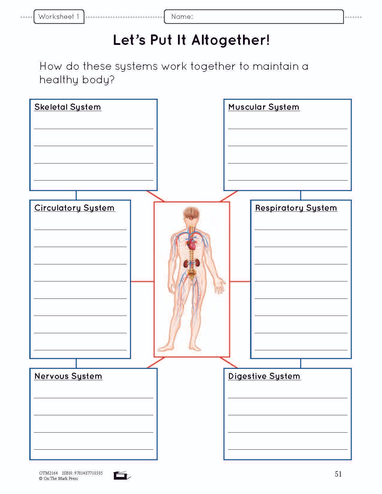 Body Systems Lesson & Worksheets e-Lesson Plan Grade 5 - Worksheets Library