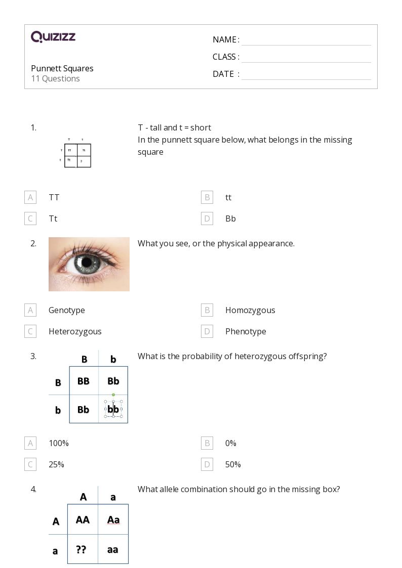 50 Punnett Squares Worksheets For 10th Class On Quizizz Free 50 Punnett Squares Worksheets For 10th Class On Quizizz Free