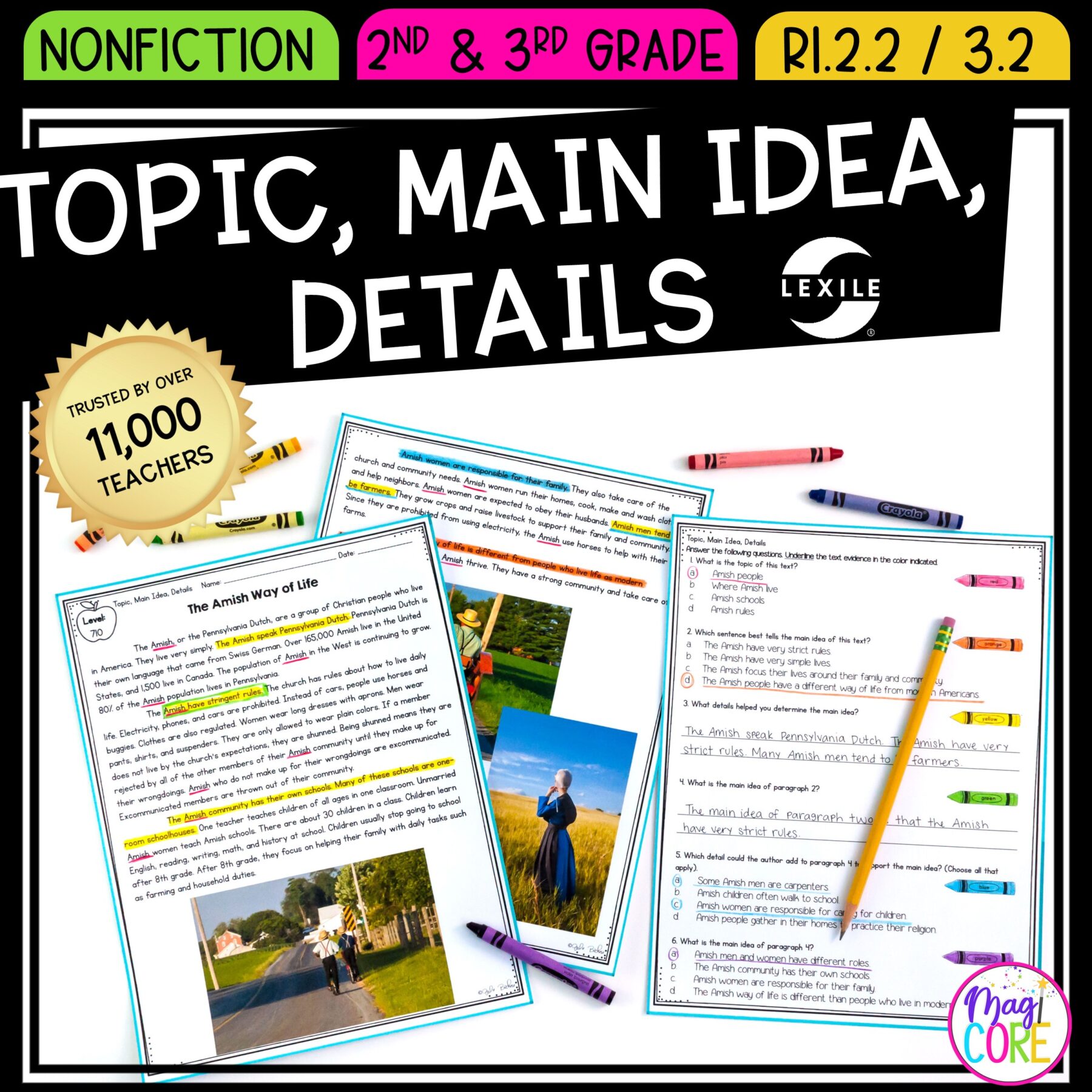 Main Idea and Details Reading Comprehension Passages & Questions RI.2.2 RI.3.2 - Worksheets Library