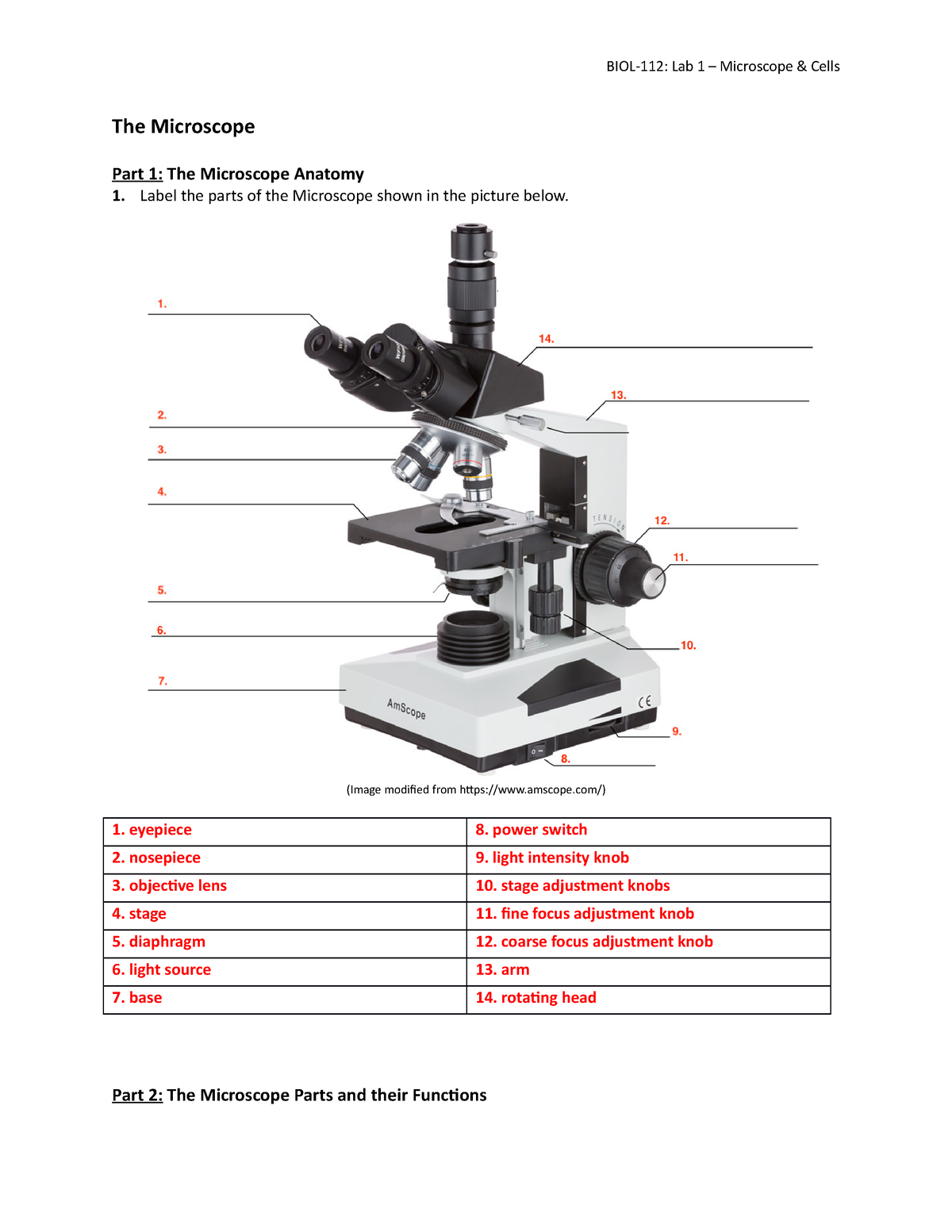 Printable Microscope Worksheet 7 Science Ideas | Microscope, Science,