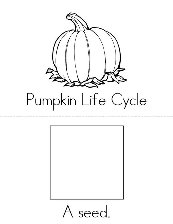 Free life cycle of a pumpkin worksheet, Download Free life cycle of a ...