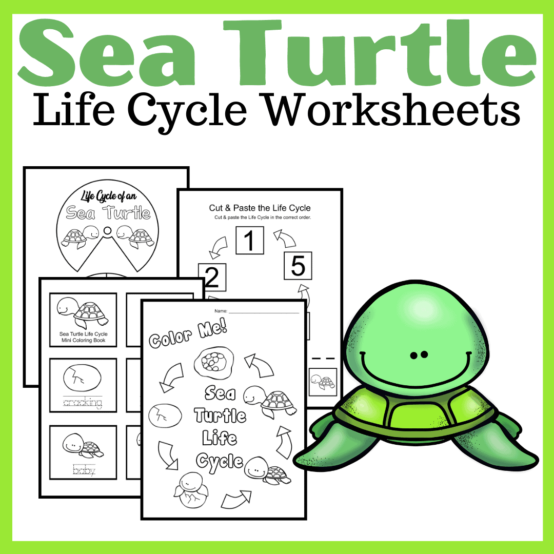 ? FREE Life Cycle of a Sea Turtle for Kids Printable Reader - Worksheets Library