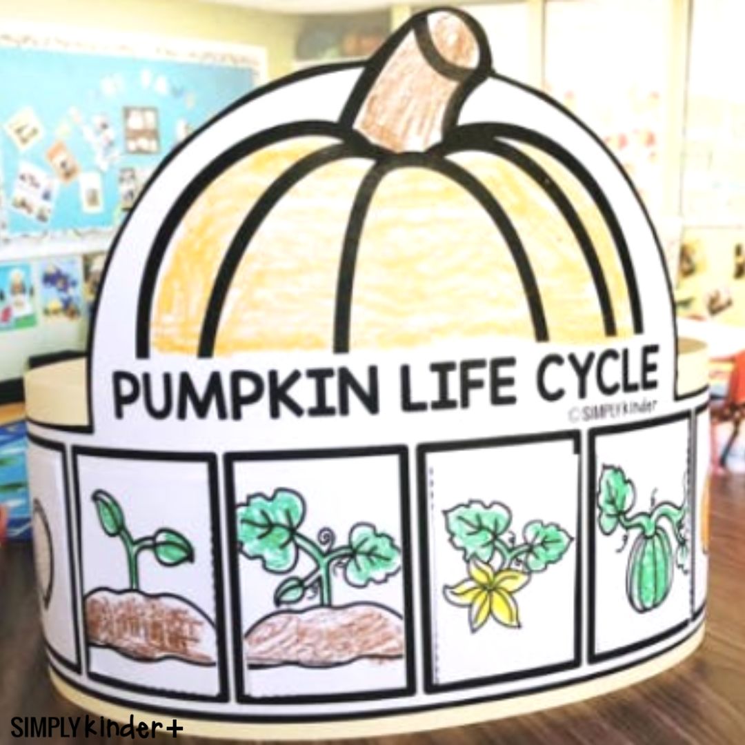 Pumpkin Life Cycle Worksheets and Booklet - Mamas Learning Corner ...