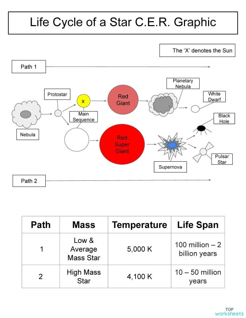 CER Life Cycle of a Star. Interactive worksheet | TopWorksheets ...