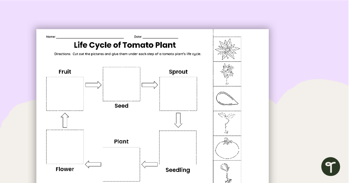 EasyTeaching.net | Resources for Teaching Primary School - Worksheets ...