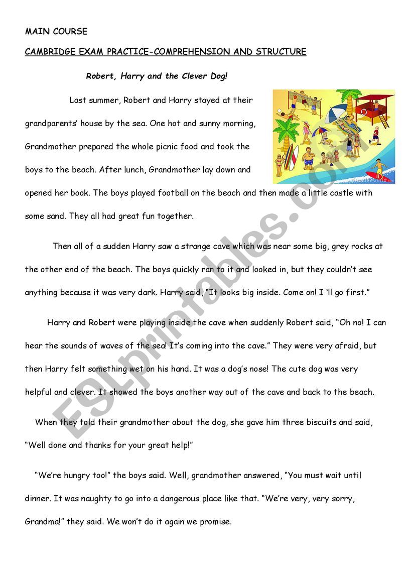 reading comprehension, literature - ESL worksheet by seloshh - Worksheets Library