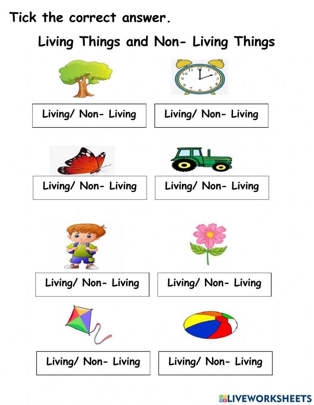 Living And Non living Things Online Exercise For Kg2 Worksheets Library Living And Non living Things Online Exercise For Kg2 Worksheets Library
