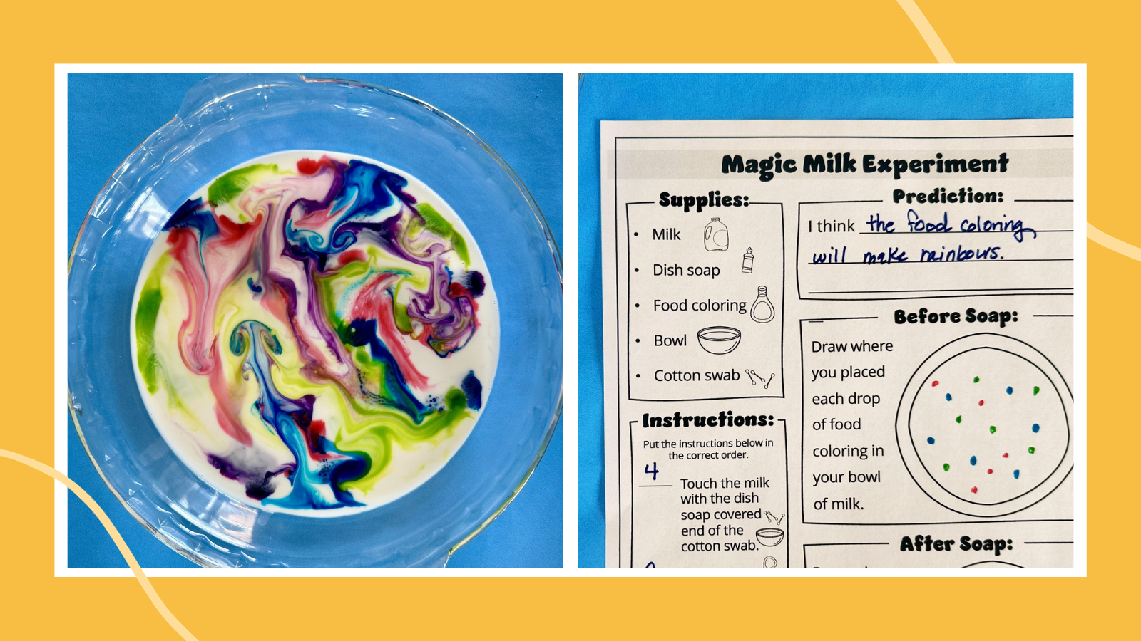 Magic Milk Experiment: How-To Plus Free Worksheet - We Are Teachers ...