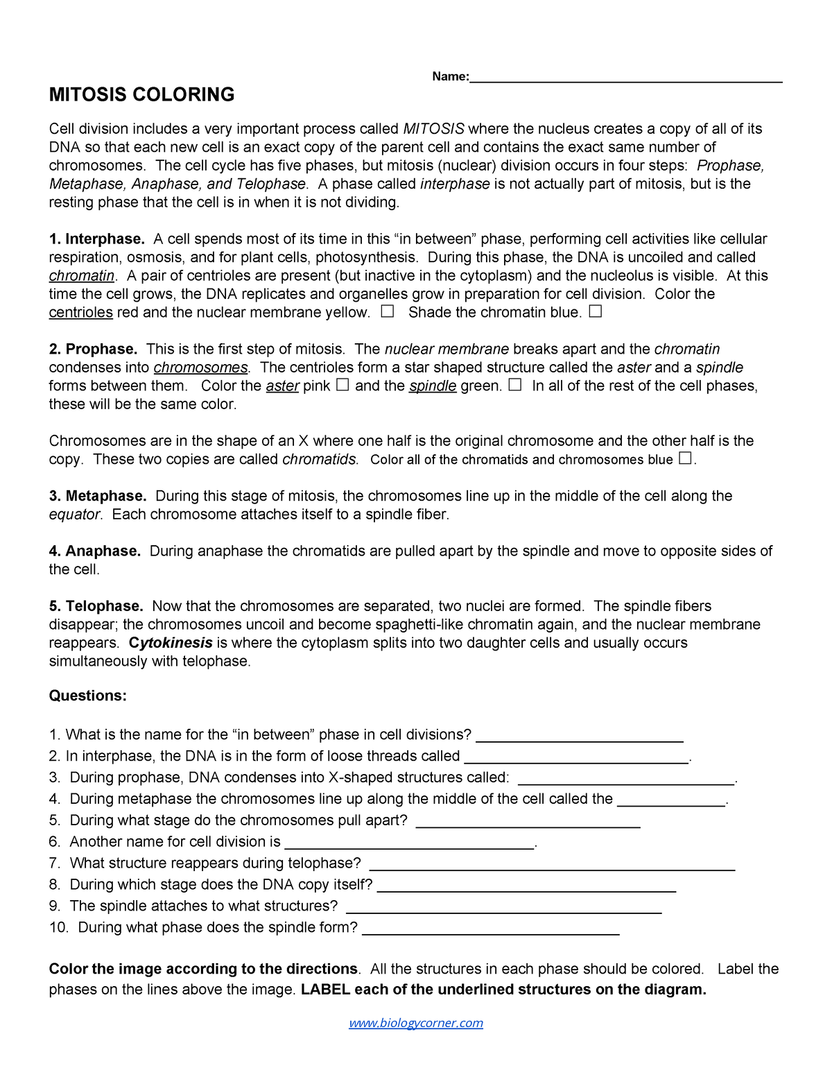 Free Mitosis Coloring Worksheet Download Free Mitosis Coloring Free Mitosis Coloring Worksheet Download Free Mitosis Coloring