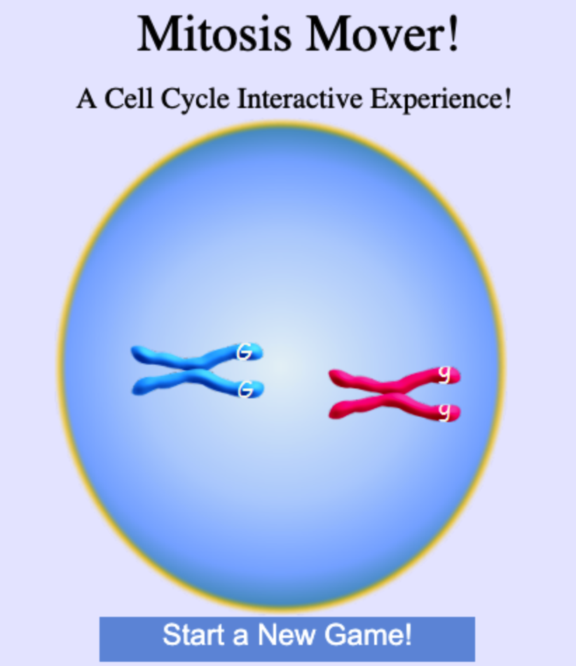 110 Mitosis Lab Remote Professor St Johns Instructional