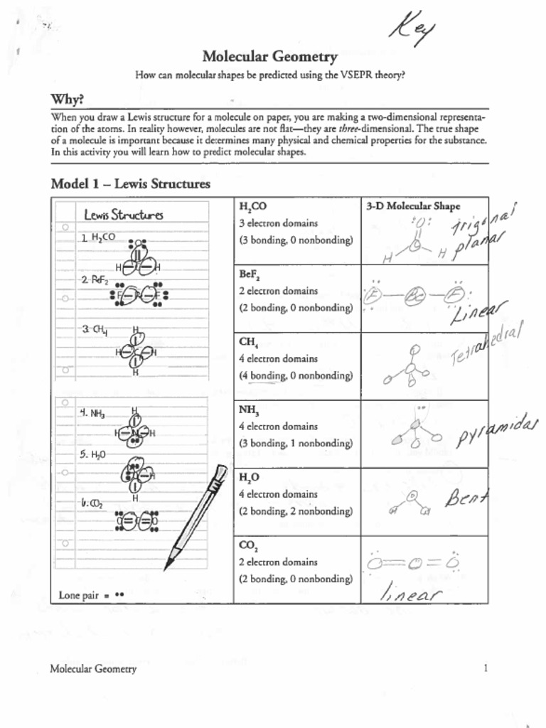 Number 15 Worksheets 15 Worksheets Library