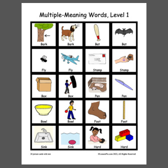 Multiple Meaning Words - HOMONYMS - Boom Cards™ – Hot Chocolate ...