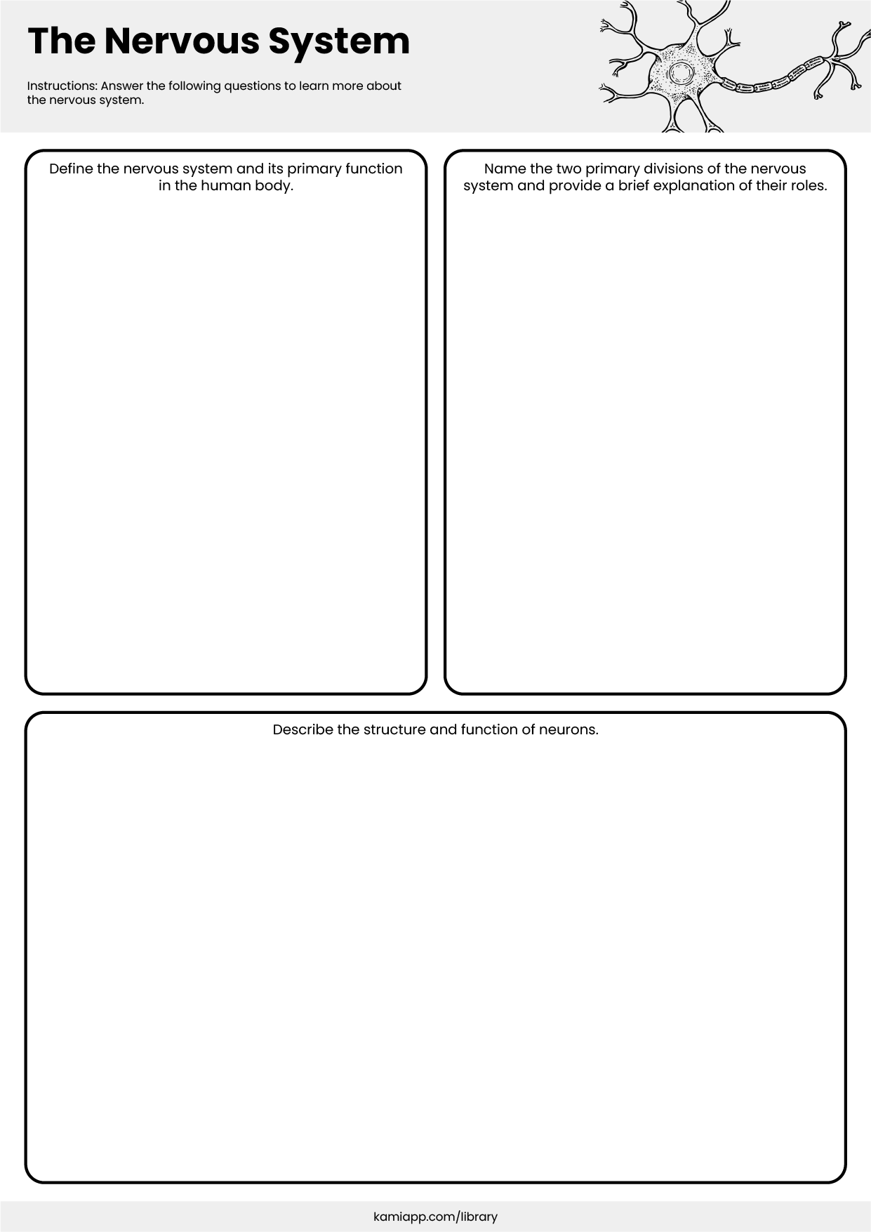 Free nervous system worksheet middle school, Download Free nervous ...