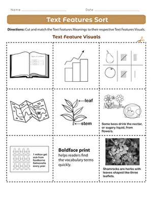 Text Features Sort | Worksheet | Education.com - Worksheets Library