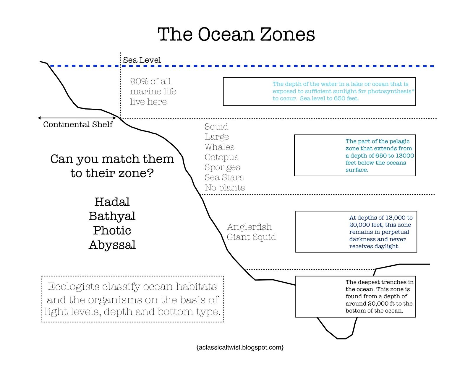 Ocean Life Zones Worksheet Layers Of The Ocean Worksheet | Teach