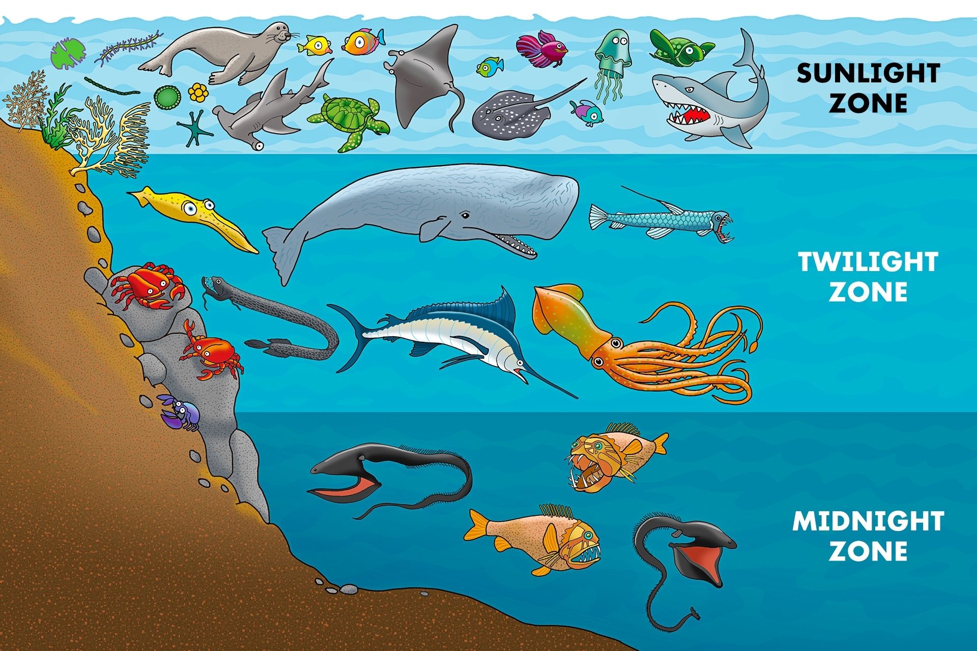 TIME for Kids | Deep in the Sea - Worksheets Library