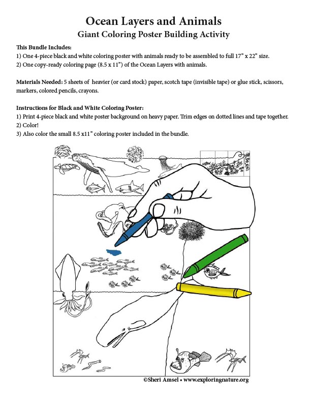 Ocean Life Zones Worksheet: Exploring the Depths of Marine Habitats