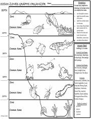 Ocean Zones Worksheet.pdf - OCEAN ZONES Name Label the ocean zones ...