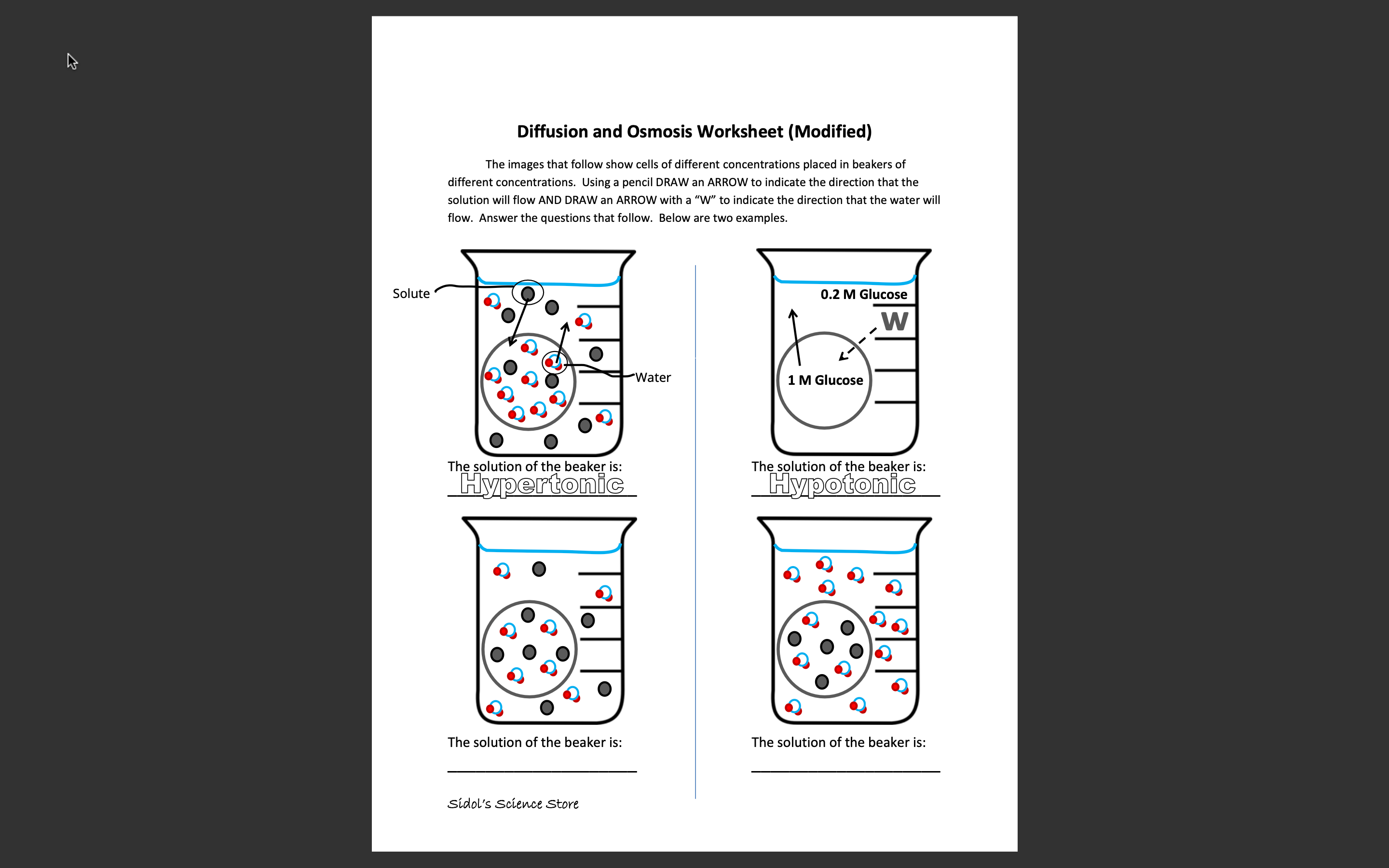 Geometric Progression Worksheet PDF Worksheets Library Geometric Progression Worksheet PDF Worksheets Library
