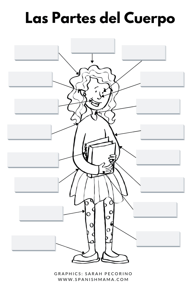 Body Parts in Spanish: Games and Activities for Learning Them ...