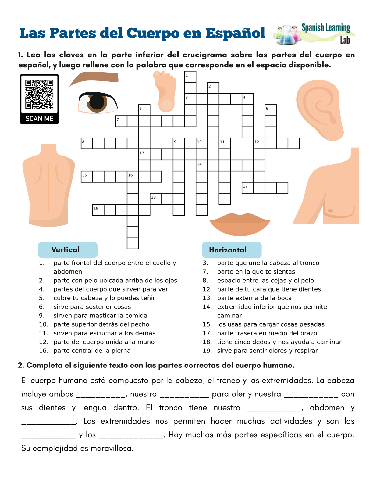 Parts of the Body in Spanish - PDF Crossword Puzzle - Spanish ...