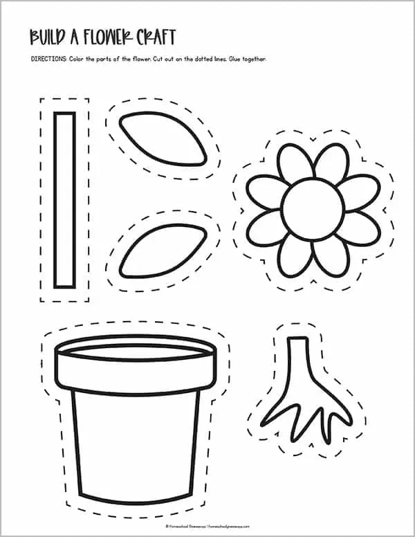 Parts of a Plant Worksheet Cut and Paste Activity