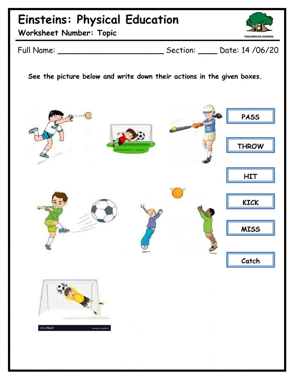 Free Physical Education Worksheet Free Download Free Physical Free Physical Education Worksheet Free Download Free Physical