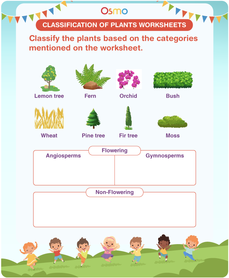 Grouping of Plants. Third Grade Science Worksheets and Study Guides. - Worksheets Library