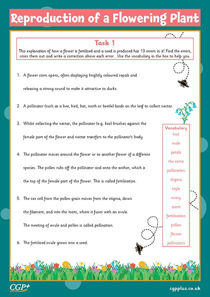 Pollination and Fertilisation — Correct the Explanation (Year 5 ...