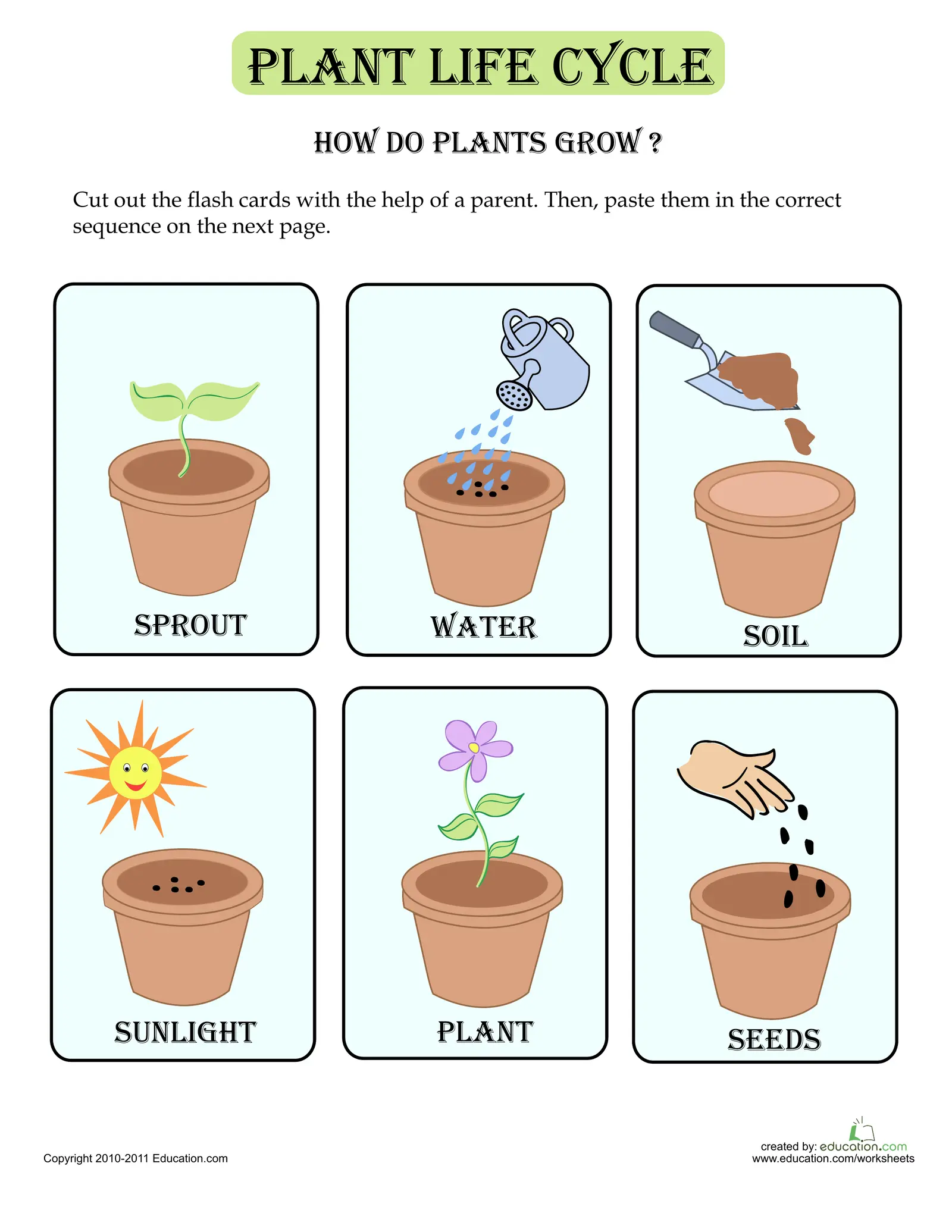 Unit 1 - Grade 1 - Plant life cycle cards Interactive Worksheet ...
