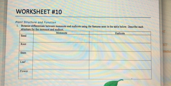Solved WORKSHEET #10 Plant Structure and Function 1. | Chegg.com - Worksheets Library