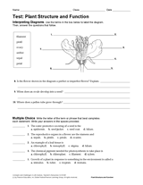Plant structure and function. High School Biology Worksheets ...