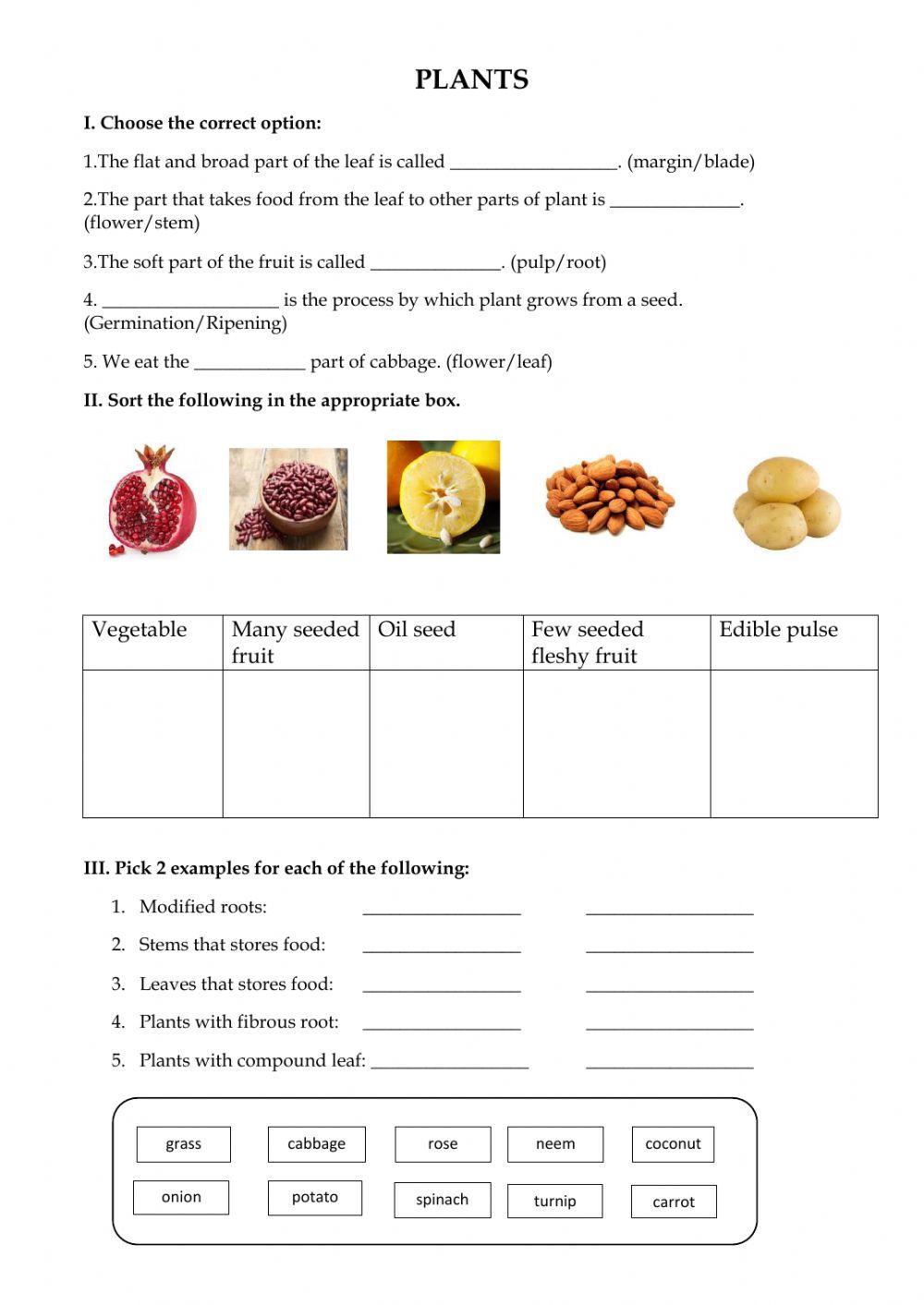 Plants Worksheet For Grade 3 Live Worksheets Worksheets Library Plants Worksheet For Grade 3 Live Worksheets Worksheets Library