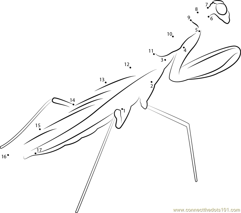 Praying Mantis Dot-to-Dot – Tims Printables - Worksheets Library