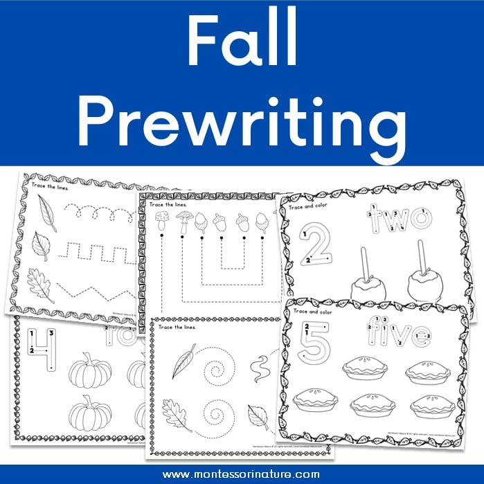 Fall Prewriting Practice - Free Fine Motor Printable - Montessori ...
