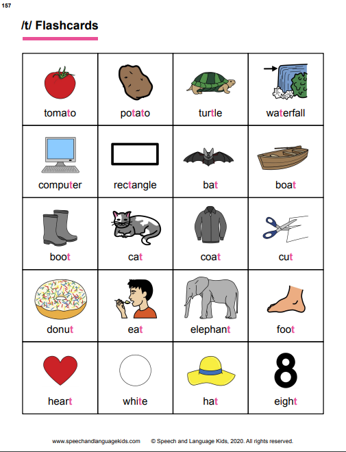 Speech and Language Therapy Guide PLUS All-In-One Articulation ...