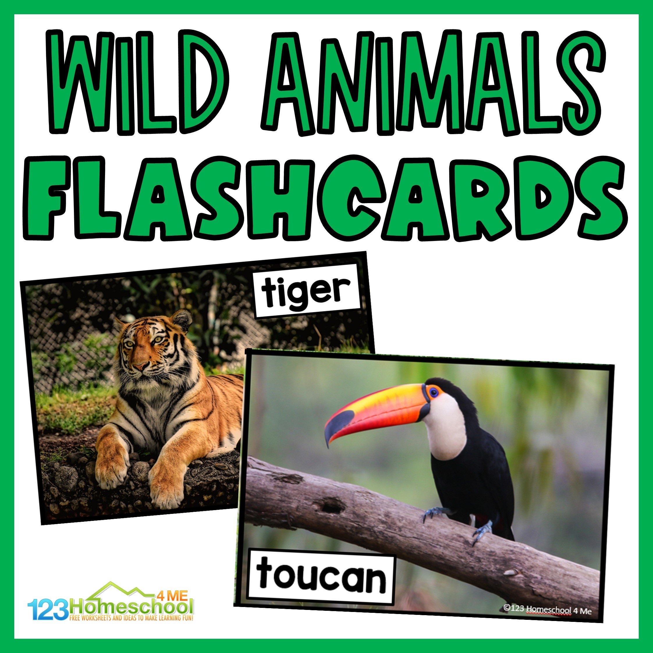 ? FREE Printable Wild Animal Flashcards with Real Pictures - Worksheets ...