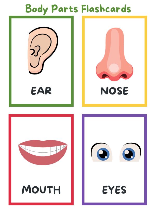 Affordable Body Parts Name Flashcards for Sale - Zstore UK - Worksheets ...